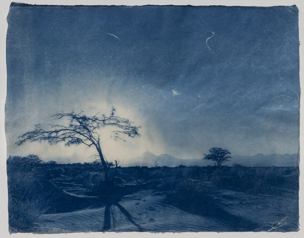 Evoke Contemporary | Fine Art Gallery | Santa Fe, NM